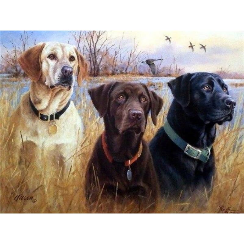 3 Labradors – Diamond Painting Nederland